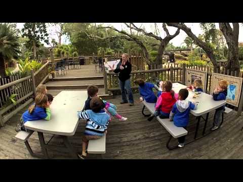 Zoo Camp in 60 seconds - SANTA BARBARA ZOO - YouTube