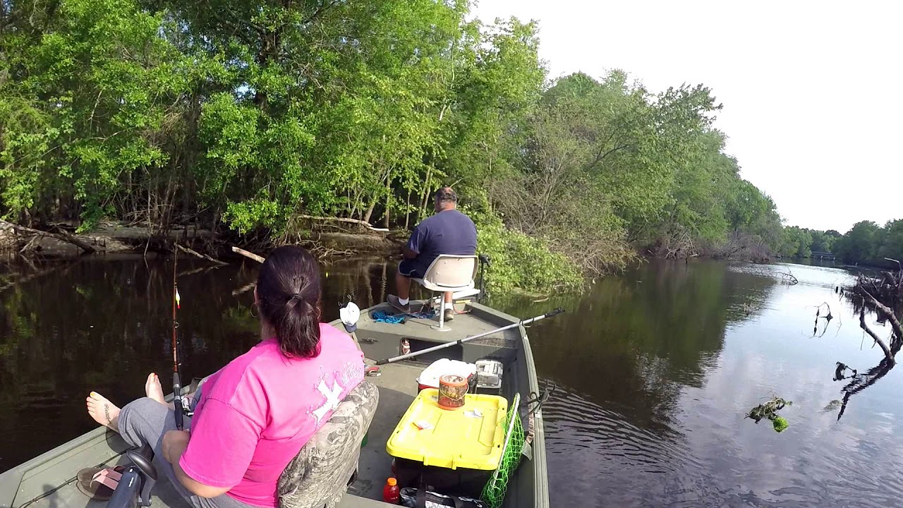 Lumber River Fishing 2019 - YouTube