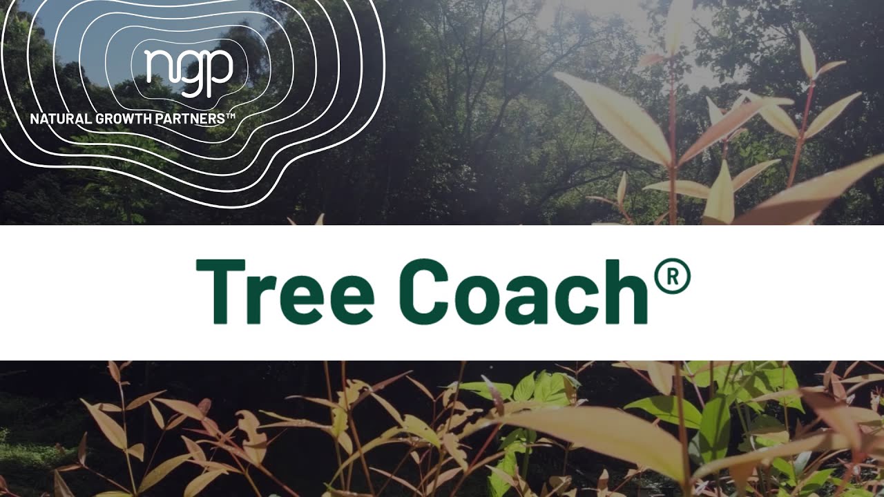 Webinar: Tree Coach® - YouTube