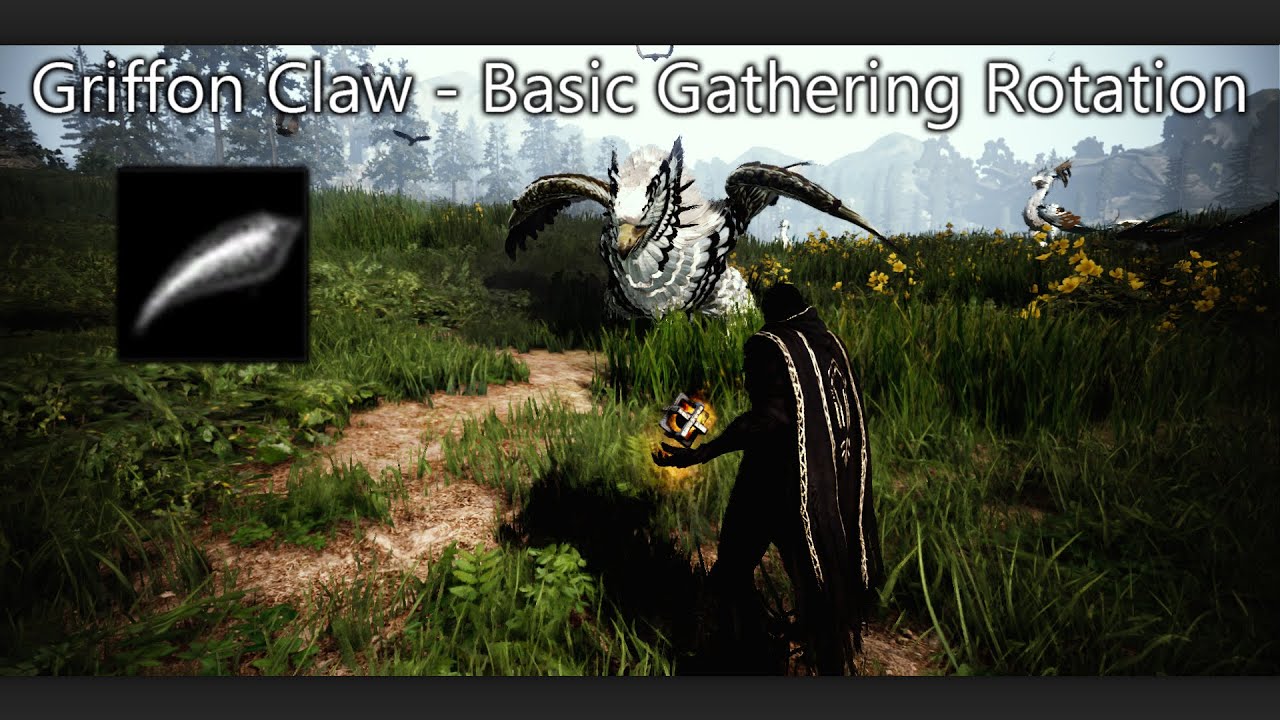 Black Desert Online | Griffon Claw - Basic Gathering Rotation - YouTube