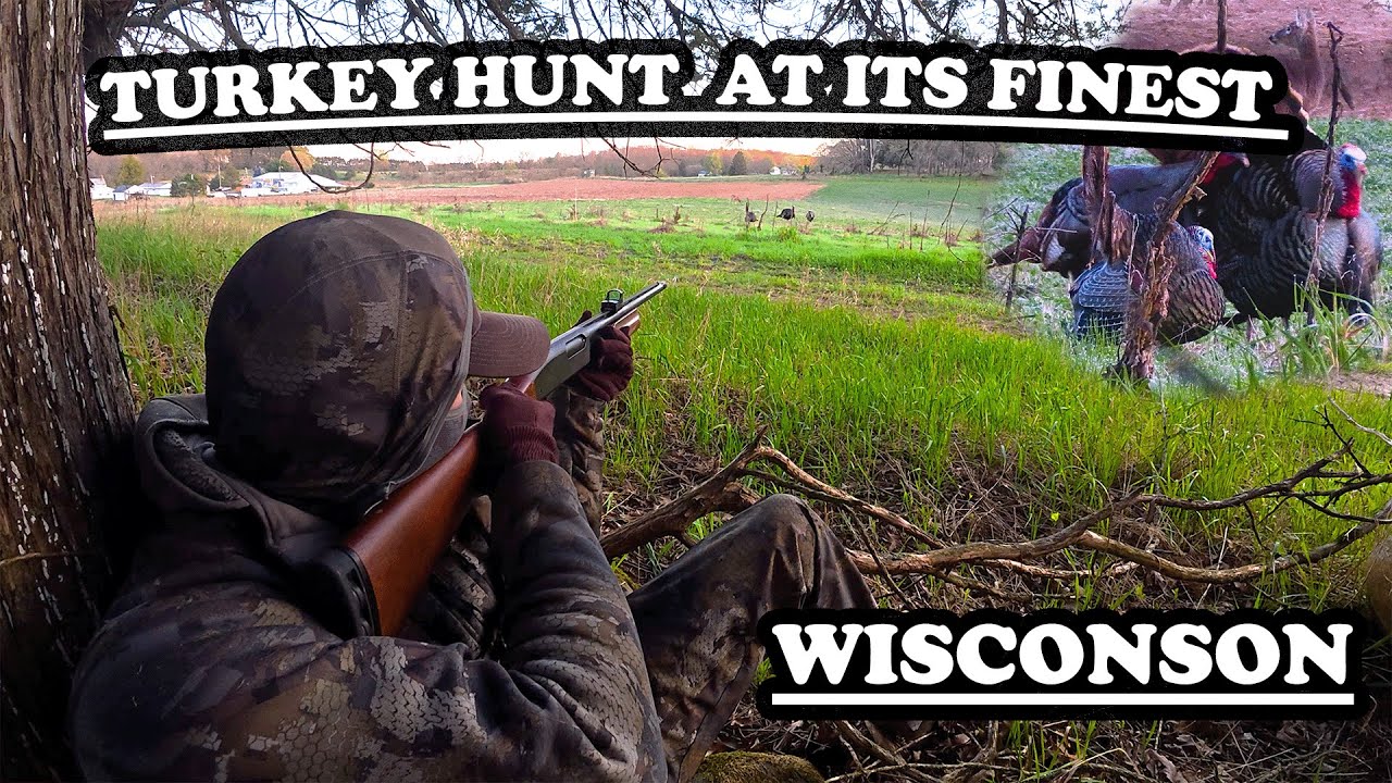Wisconsin Turkey Hunting at its Finest | Longbeards at Close Range | 20 ...