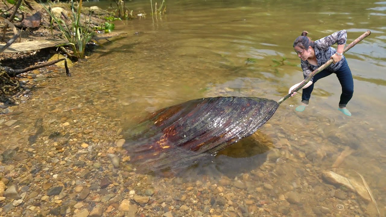 The mining process of freshwater pearls involves pure manual collection ...