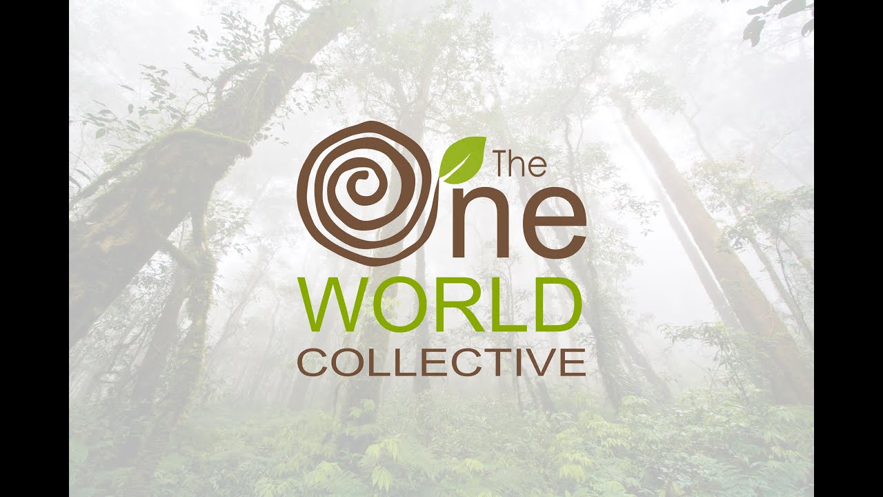The One World Collective - Non for Profit Organisation - YouTube