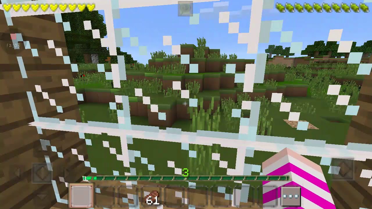 Having A Pet In Minecraft YouTube having-a-pet-in-minecraft-youtube