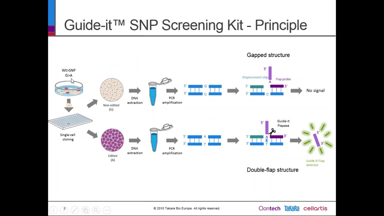 2018 04 26 10 30 A fast and reliable method for detecting single base ...