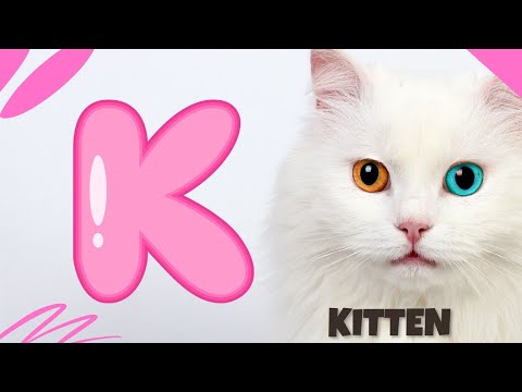Learn Letter K/K For Kite,K For Kid,K For Kitten,K For Kiss - YouTube