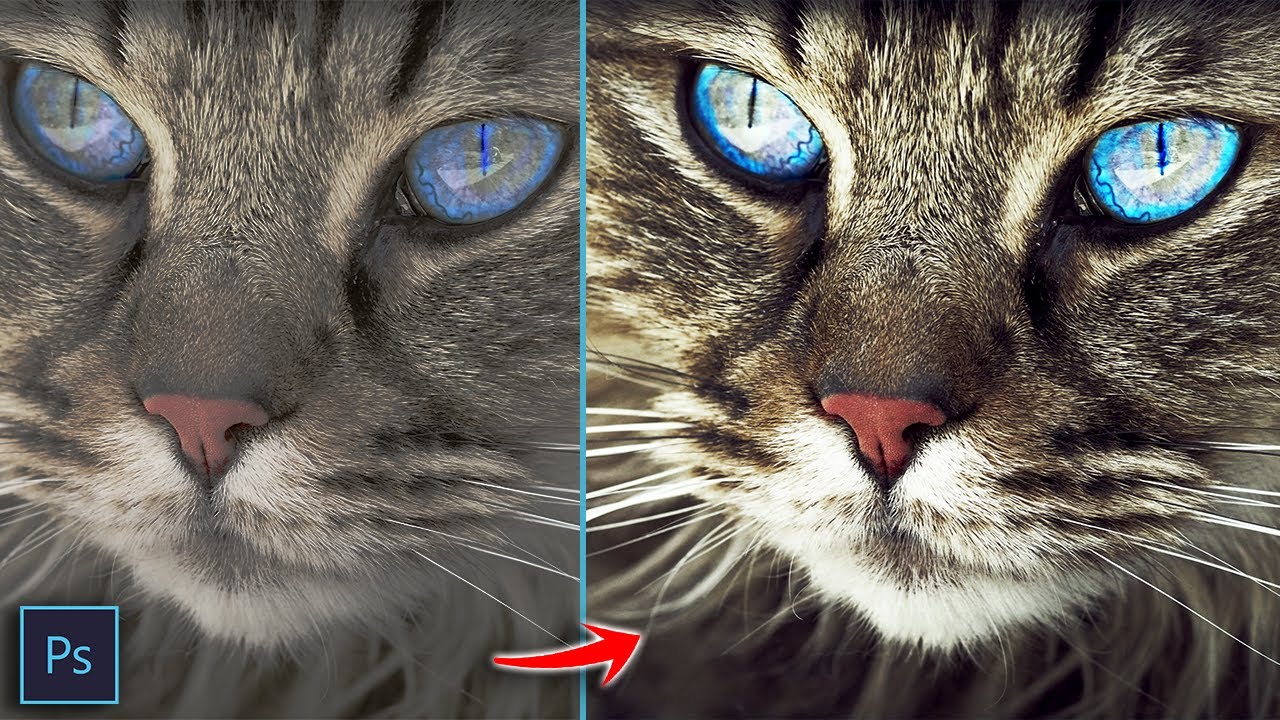 How To Enhance Colors In Photoshop (1 Min) | Using Black & White ...