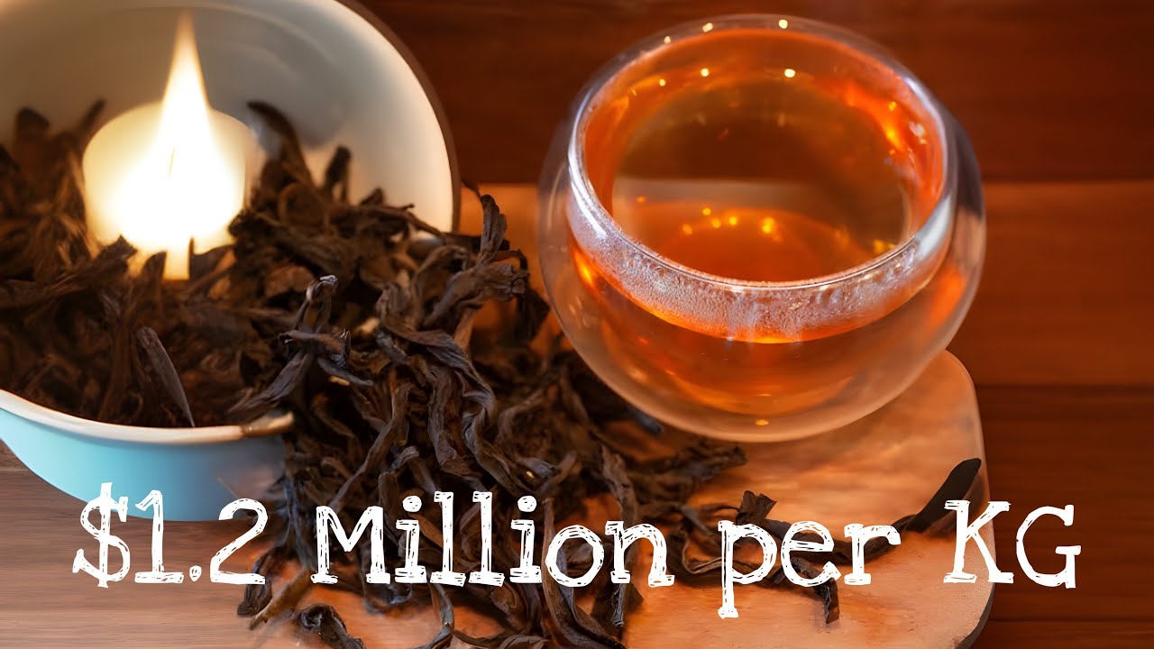 The most expensive tea in the world today !🌎 - YouTube