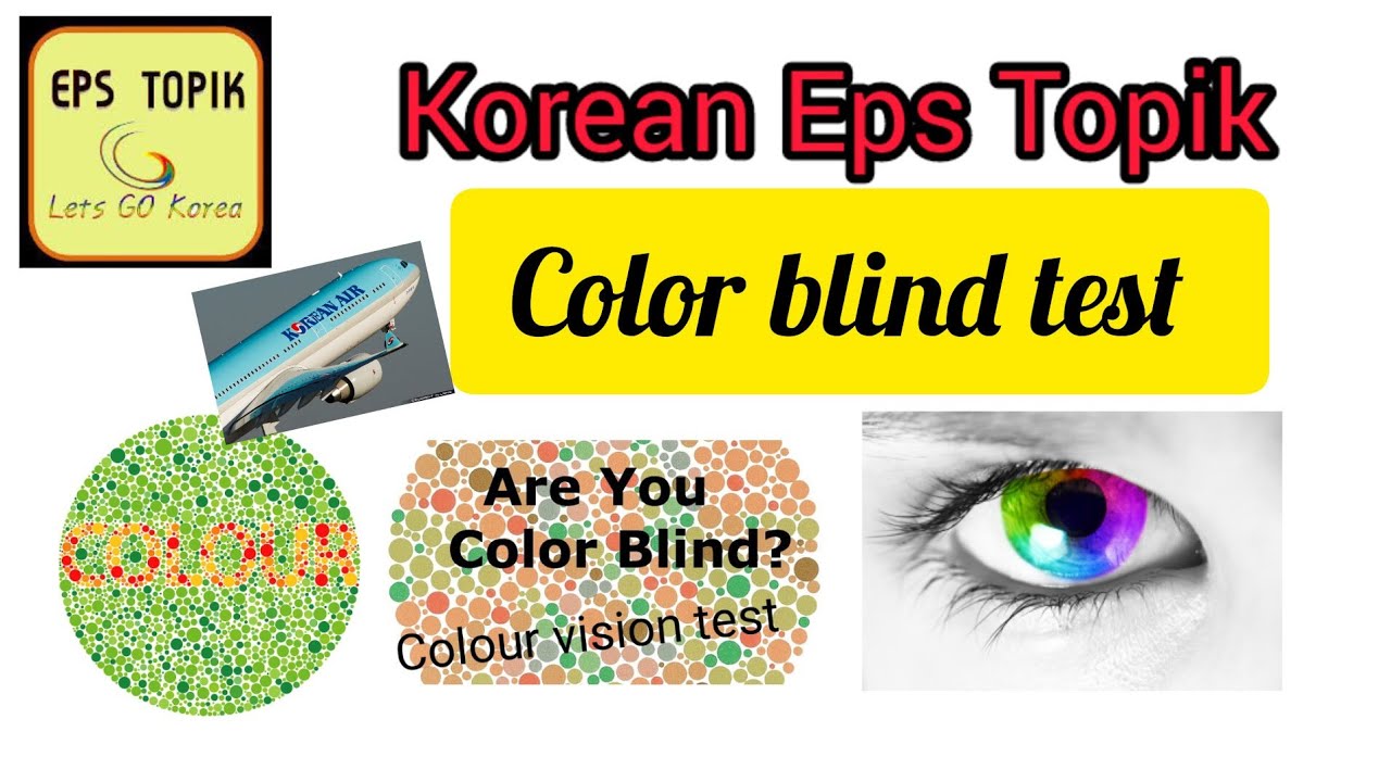 Are you color blind 👁️.색맹 테스트 .korean eps topik, color blind test - YouTube