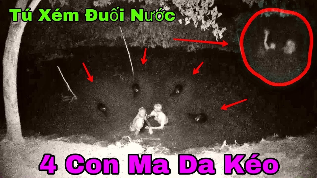 SĂN MA DA TÚ BỊ 4 CON MA DA KÉO XÉM BỎ MẠNG DƯỚI DÒNG SÔNG OAN NGHIỆT ...