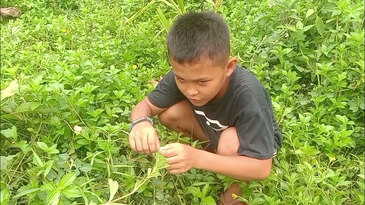 KAWATAN PART 1 PLSS LIKE AND SUBSCRIBE GUYS ️ - YouTube