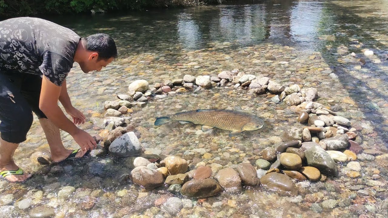 Fishing by hand,fishing trapFishing technique, آموزش ماهیگیری - YouTube