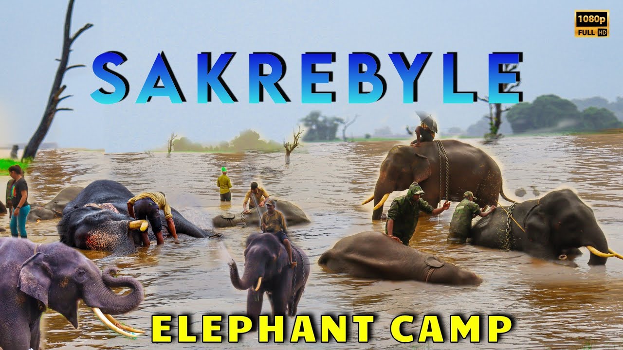 Sakrebyle Elephant Camp | Monsoon Road Trip | Must Visit Place in ...