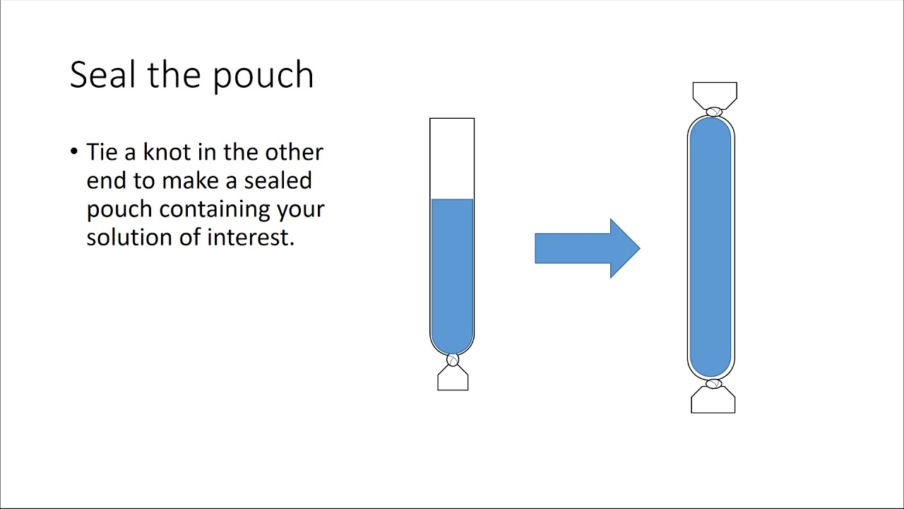 Osmosis and Diffusion Lab Activity - YouTube