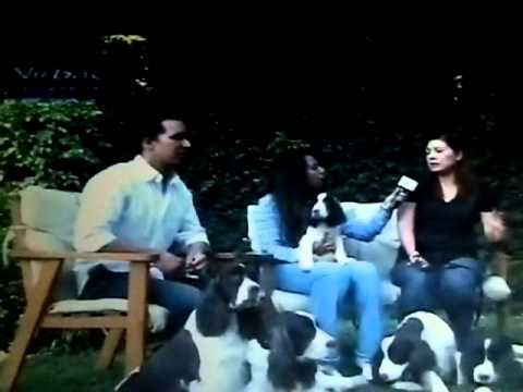 Entrevista con Claudia y Alex Monroy springer - YouTube