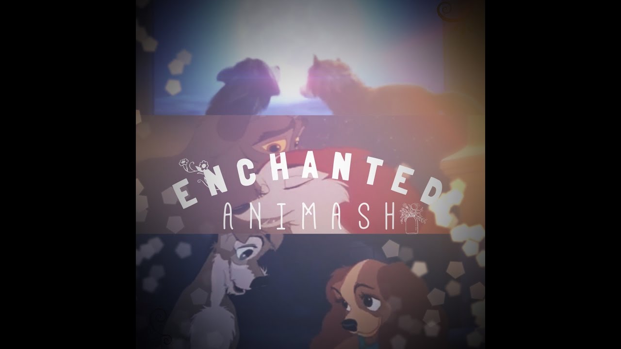 Enchanted by Owl City | Animash - YouTube