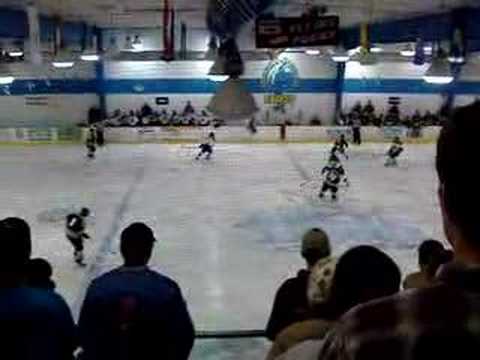 ERAU x USF ice hockey! - YouTube