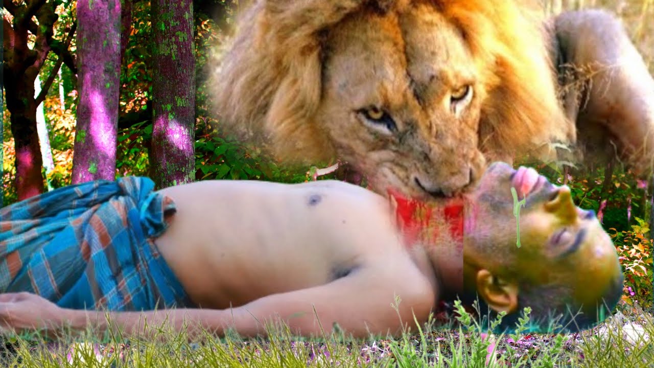 Lion Attack Man in Forest || Lion Attack Hunter || Lion Attack Stories ...
