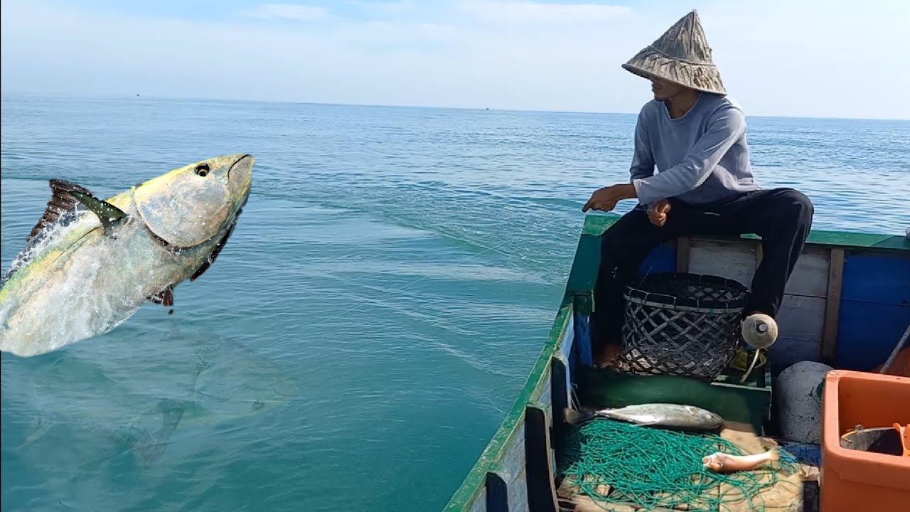 fishing for tuna, grouper, red snapper, queenfish, anchovies, mackerel ...