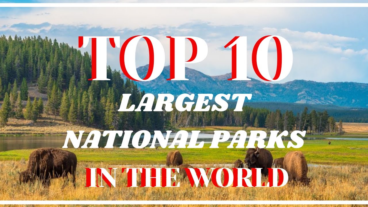 TOP 10 LARGEST NATIONAL PARKS IN THE WORLD - YouTube