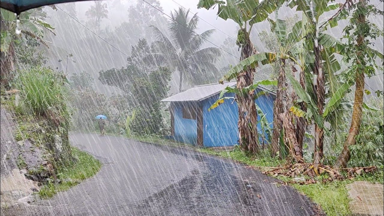 Super heavy rain accompanied by storms in my village, walking in heavy ...
