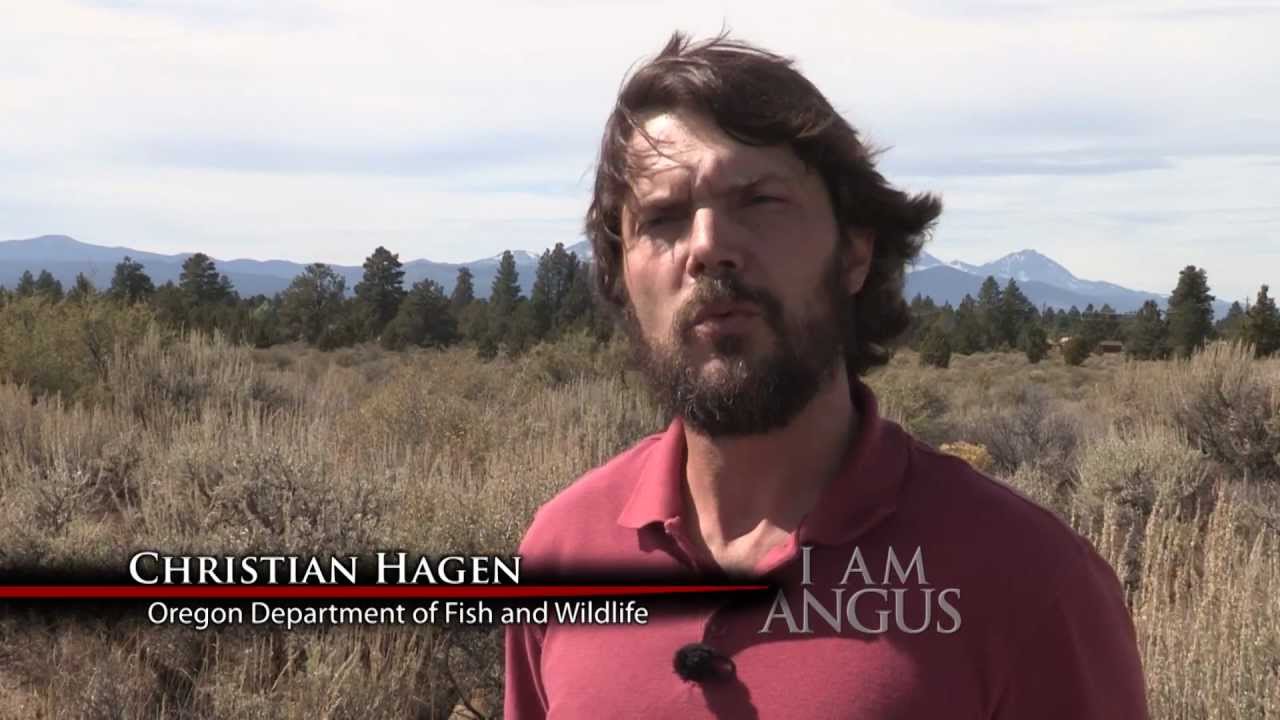 I Am Angus: Christian Hagen and the Sage Grouse - YouTube