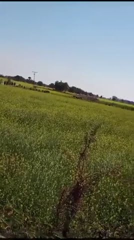 Sanghar_Sania_Jaani_Juneja_Chotyaru_May_Fairing_Kaye_Waye_ - YouTube