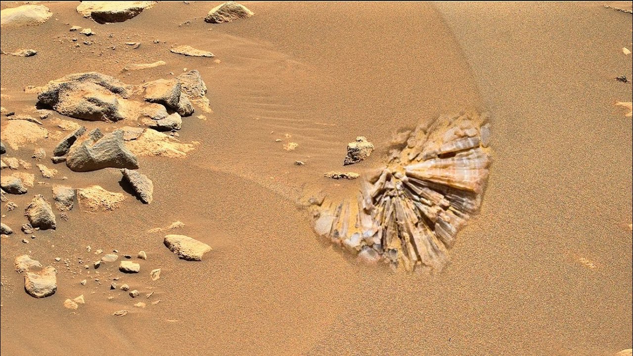 Mars Perseverance Rover Captured a New 4k Stunning Video Footage of ...