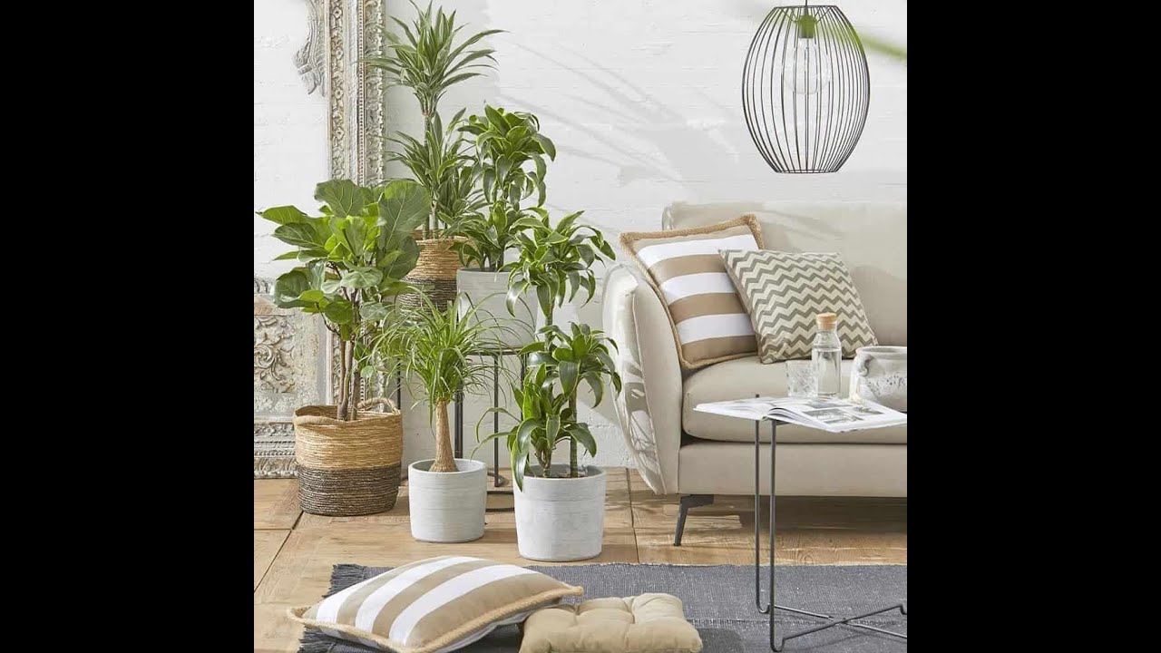20 Spring DIY Decor Ideas for you I Green garden plants - YouTube
