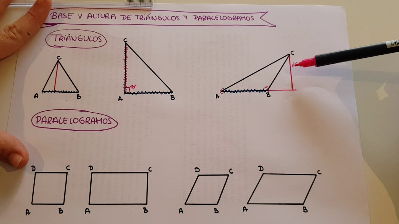 Base y altura de triángulos y paralelogramos - YouTube