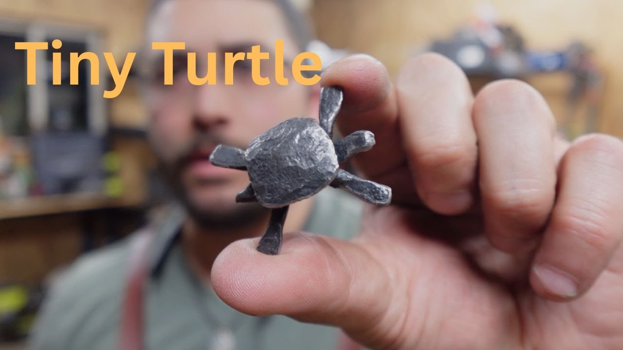 Tiny Turtle - YouTube