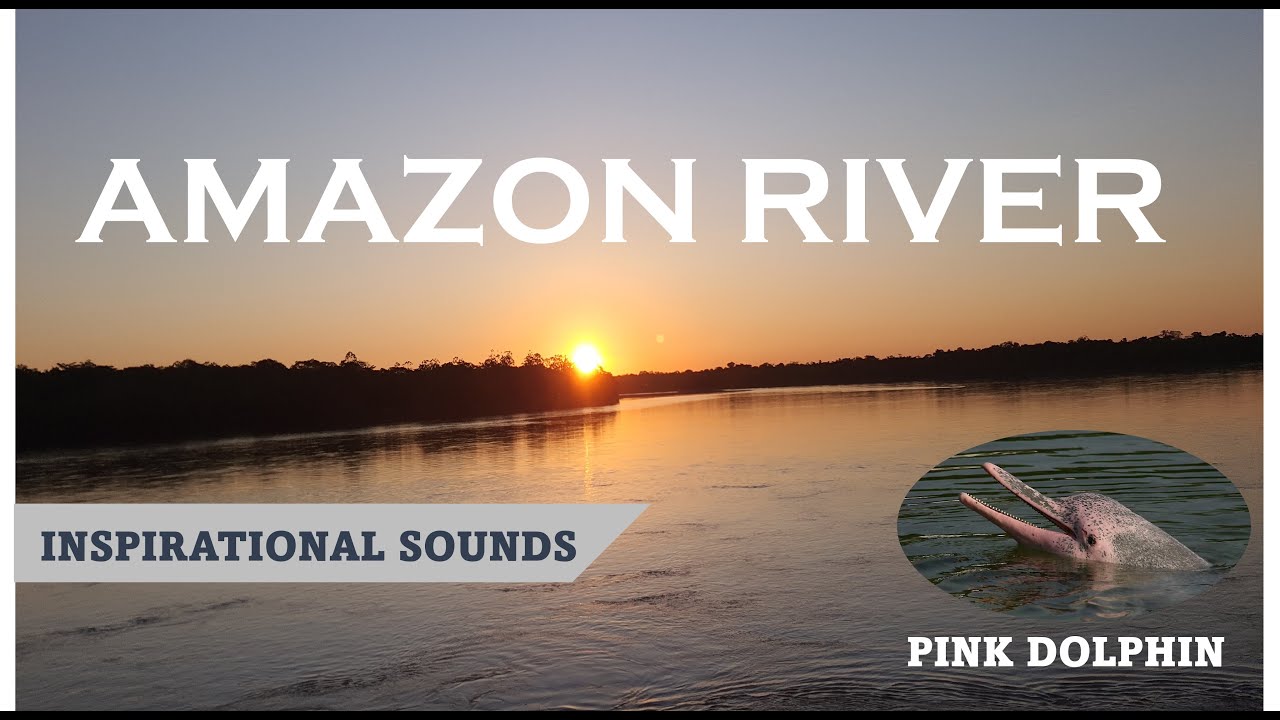 Amazon River, incredible relaxing sounds of the Amazon - YouTube