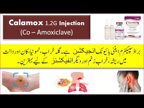 Calamox 1.2G Injection Uses in Urdu | Augmentin 1.2G Injection Uses in ...