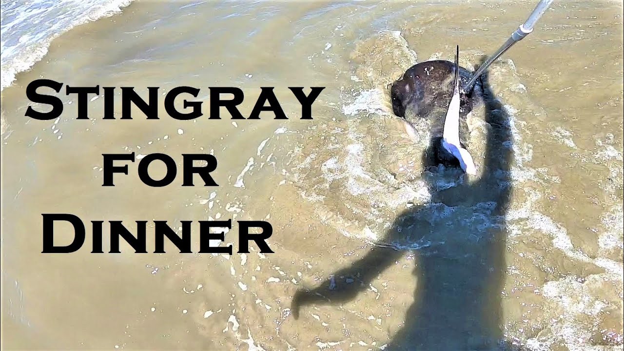 Stingray Catch & Cook. Clay Tall Stories - YouTube