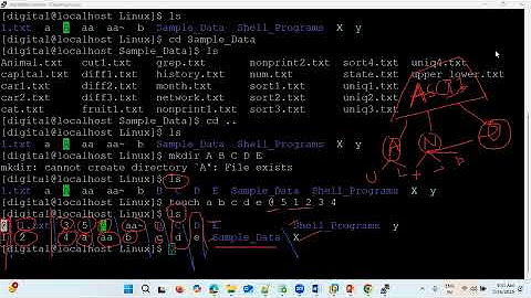 Learn Shell scripting and Linux Scripting - YouTube