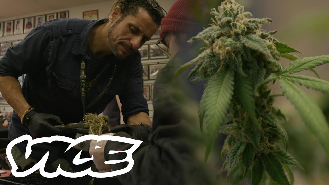Inside the College for Budding Weed Entrepreneurs - YouTube
