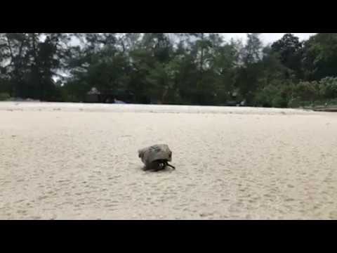 Strange moving object at the beach finally revealed! - YouTube