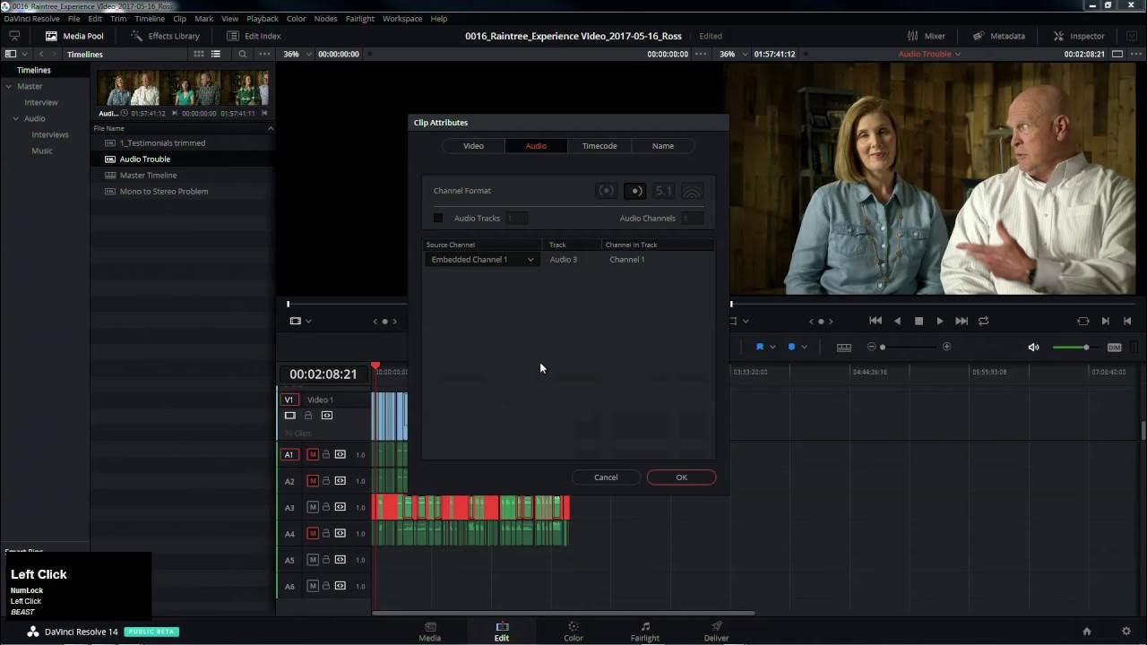 Tutorial: Davinci Resolve 14b2 XML Audio Workaround - YouTube