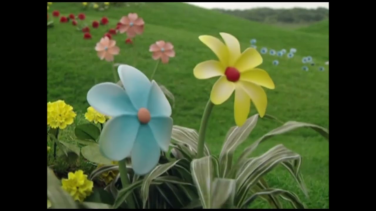 Teletubbies Flowers Footage 10 (Original Speed) - YouTube