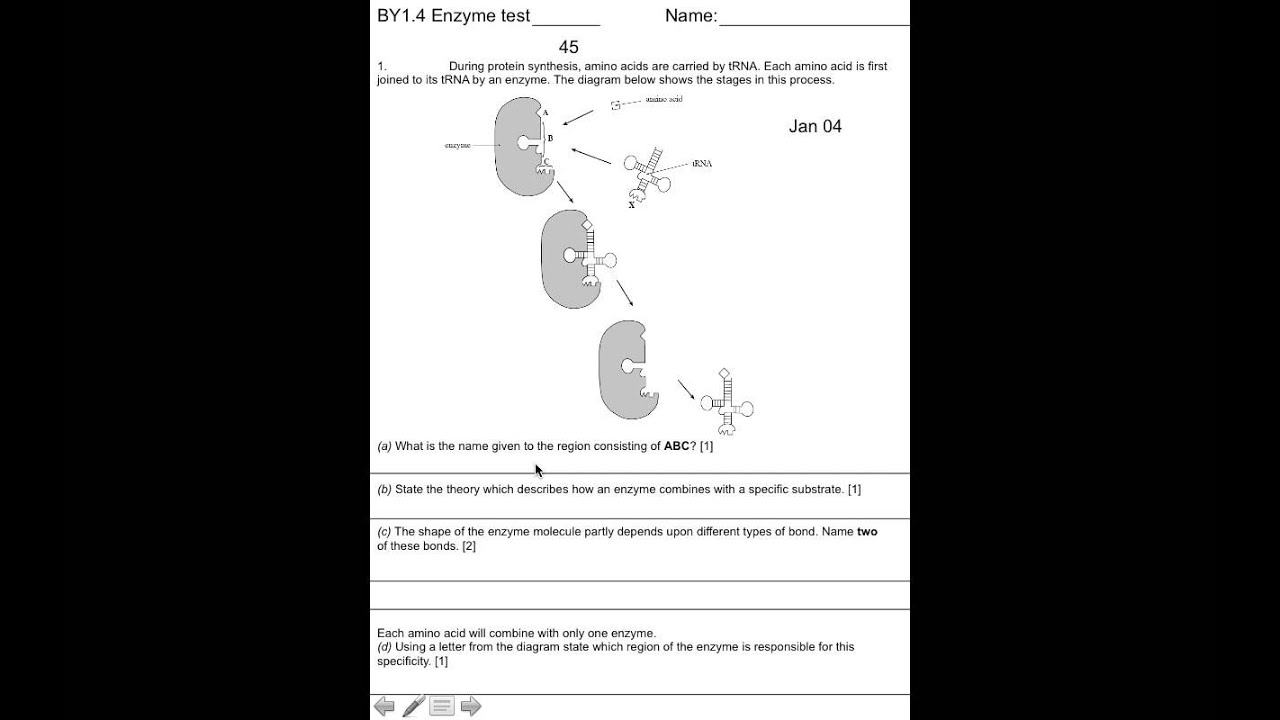 enzyme test Q1 - YouTube