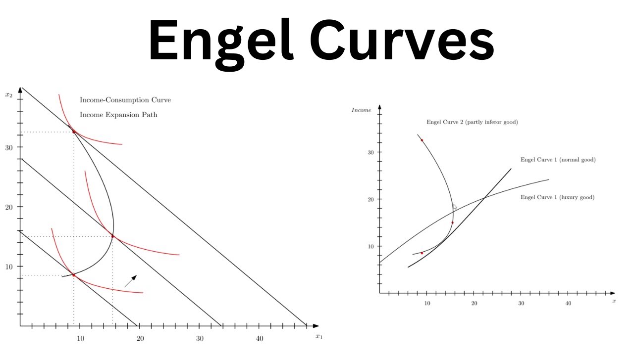 Engel Curves | Normal, Inferior & Luxury Goods | Microeconomics - YouTube