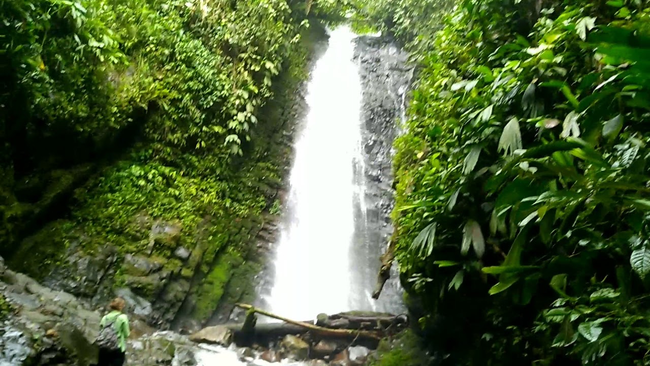 The Queen waterfall. Cascada la Reina. Mindo Ecuador 2019. - YouTube