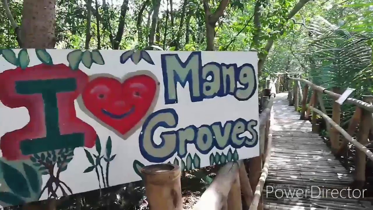 Mangrove Boardwalk (Siit Siaton) - YouTube