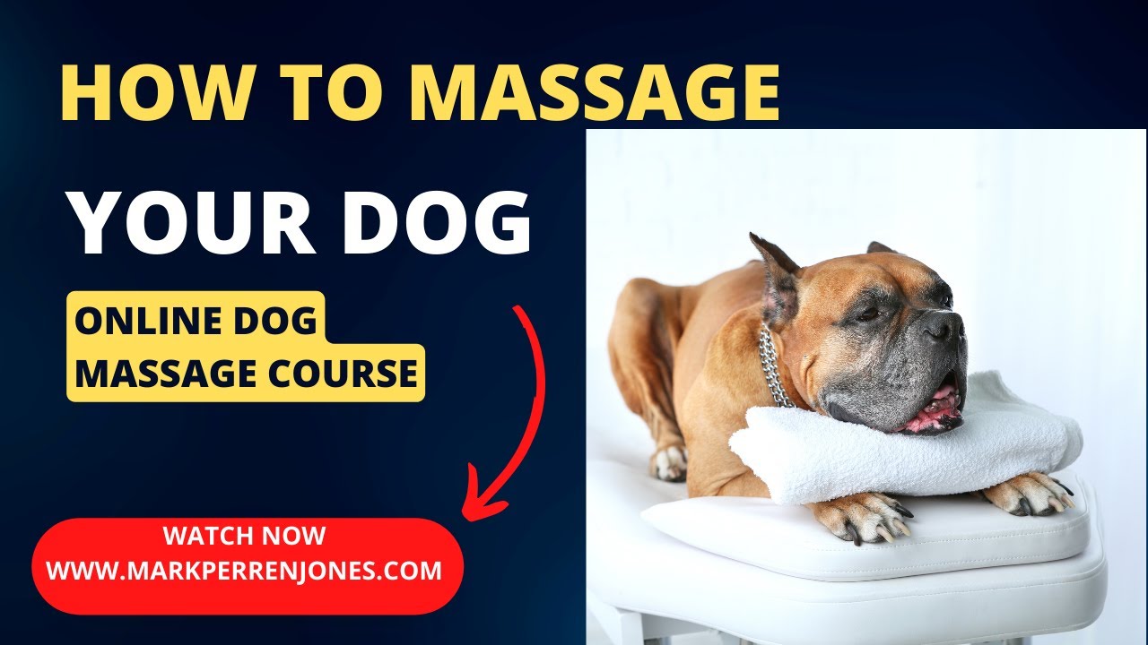 Master Dog Massage Techniques: Improve Your Pet’s Health and Relaxation ...