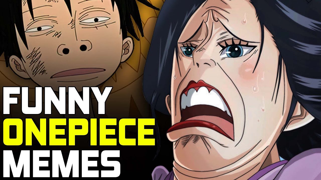 Top 101 one piece Memes 2024 | 101 Best One Piece Memes Revealed ...