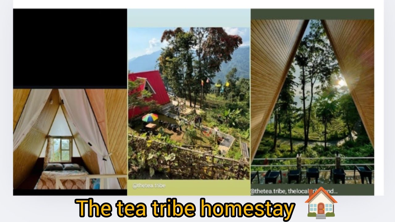 The tea tribe homestay tour // vlogs// moonda bich gown location// tea ...