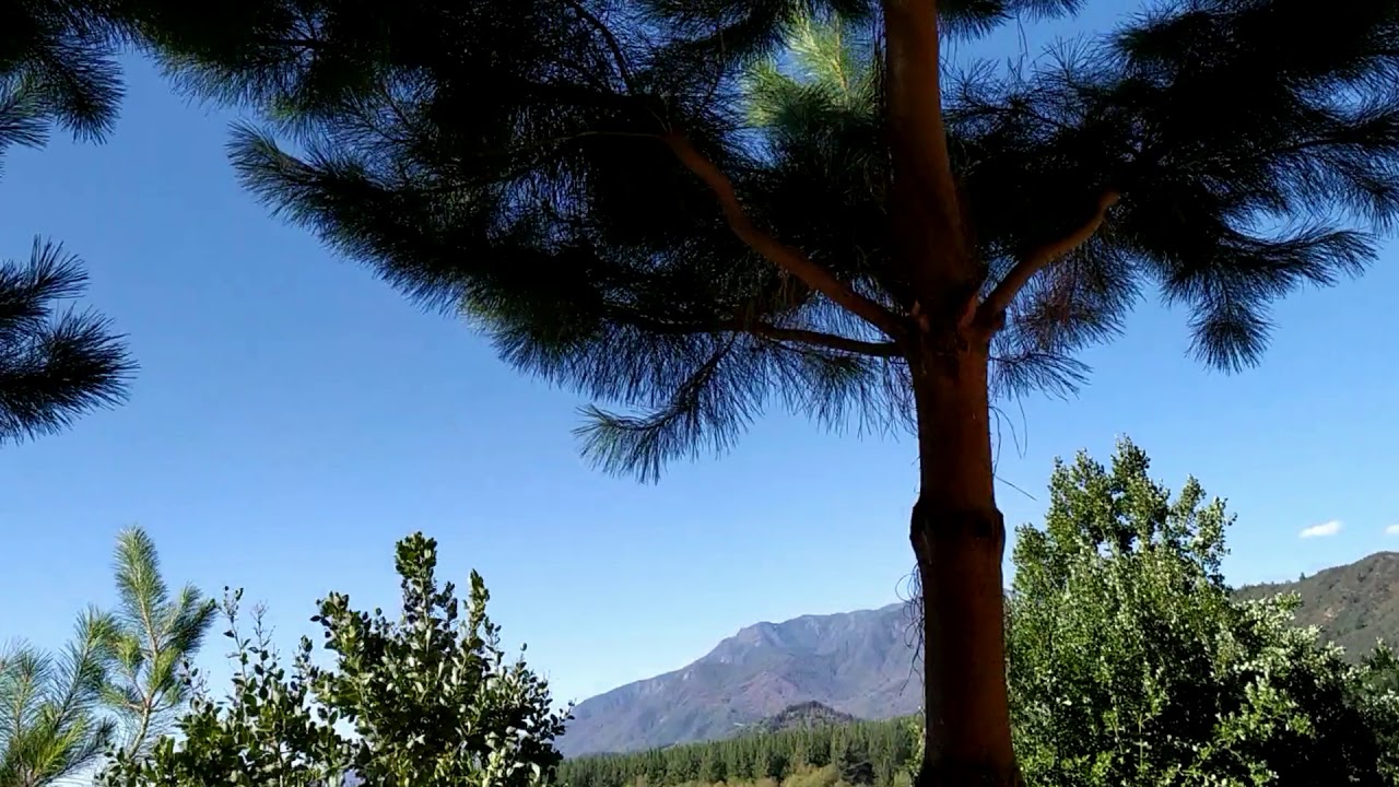 El Yacal mtb.- Molina - YouTube