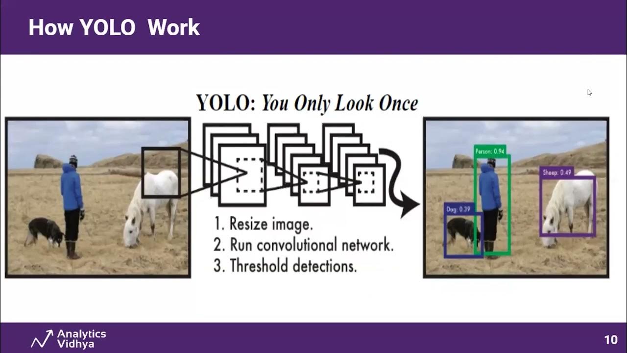 YOLO Object Detection using Python | DataHour by Tanu Solanki - YouTube