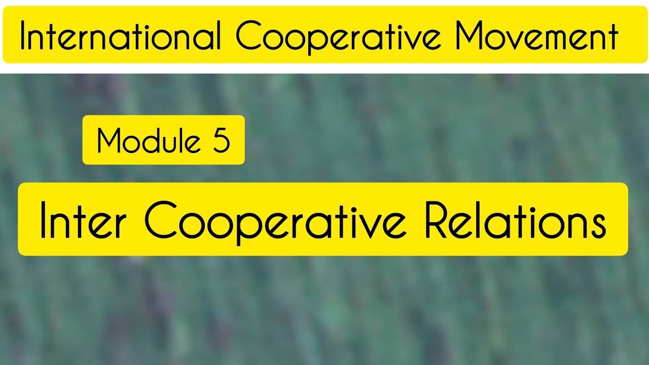 Inter Cooperative Relations | Calicut University 6th sem Bcom Co-operation - YouTube