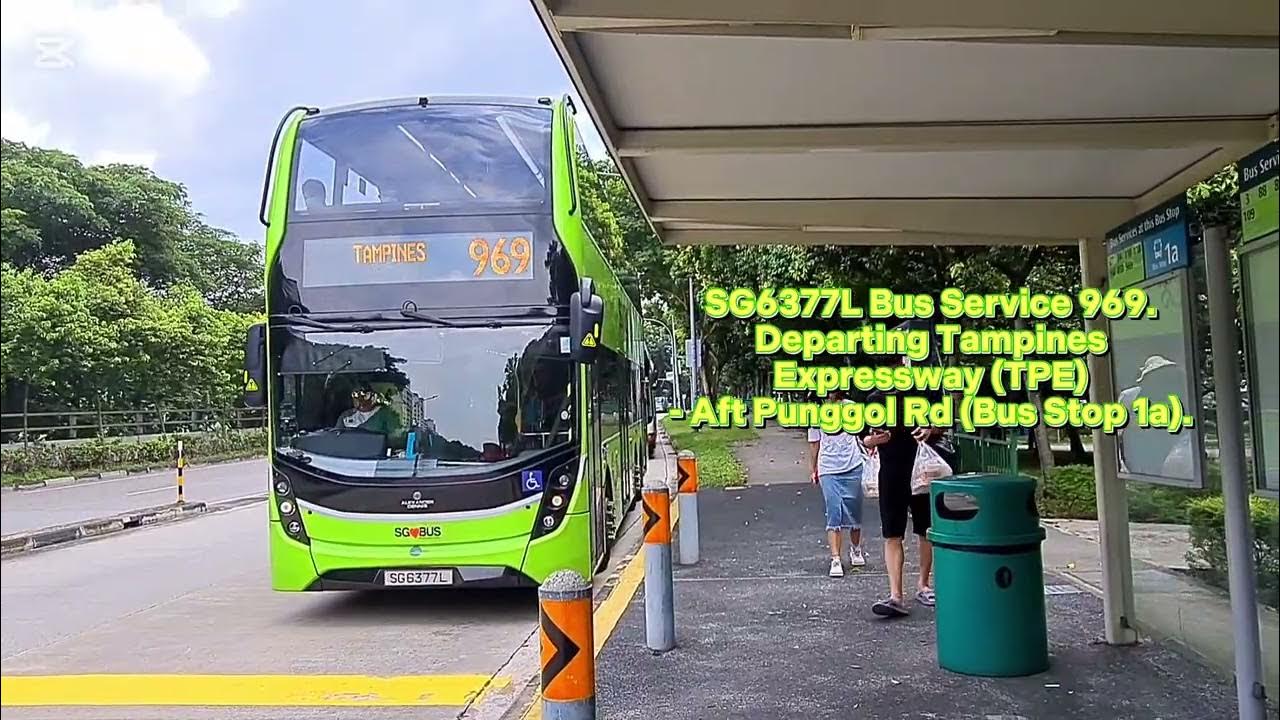 SG6377L Sv 969 Depart Aft Punggol Rd Bus Stop 1a. Enviro500 Euro 6 (3-Door) DD Bus SG ️BUS. 29 ...